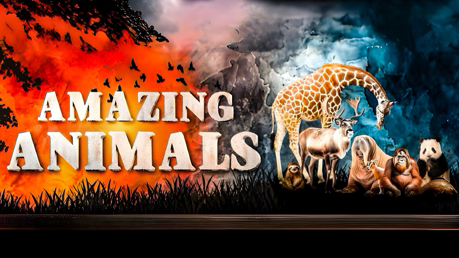 The Animal Guyz - Amazing Animals - Queen's Theatre, Barnstaple