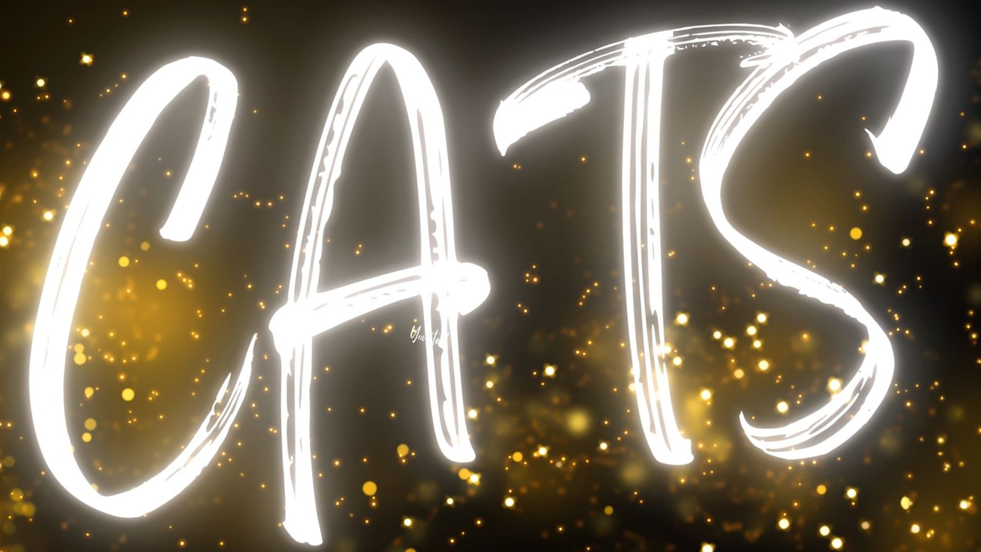 Cats: Rebecca Varley Dance Academy - Queen's Theatre, Barnstaple